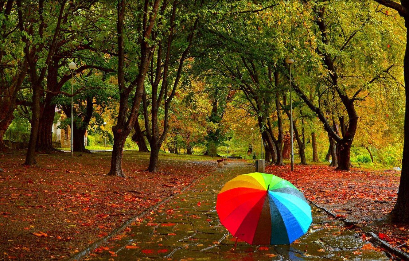 Autumn Rain Wallpapers - Top Free Autumn Rain Backgrounds - WallpaperAccess