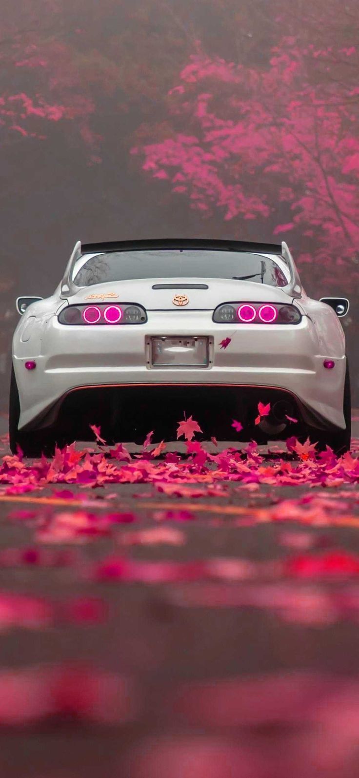 Pink Supra Wallpapers - Top Free Pink Supra Backgrounds - WallpaperAccess
