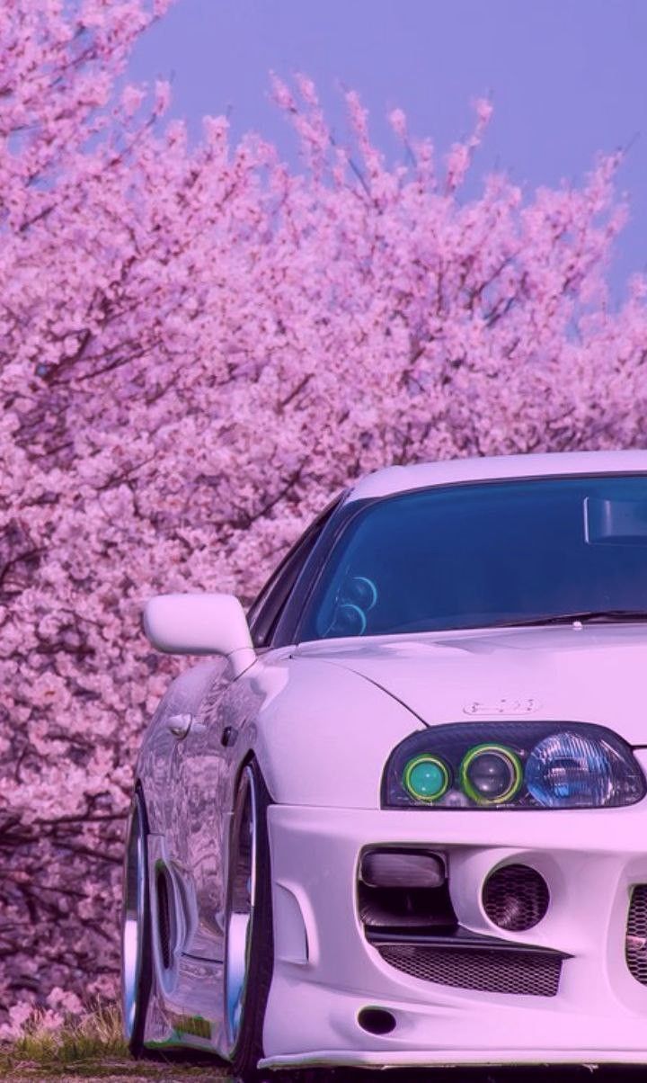 Pink Supra Wallpapers - Top Free Pink Supra Backgrounds - WallpaperAccess
