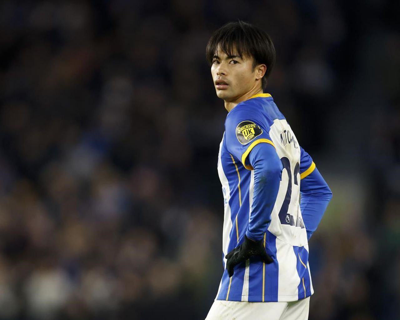 Kaoru Mitoma Wallpapers - Top Free Kaoru Mitoma Backgrounds ...