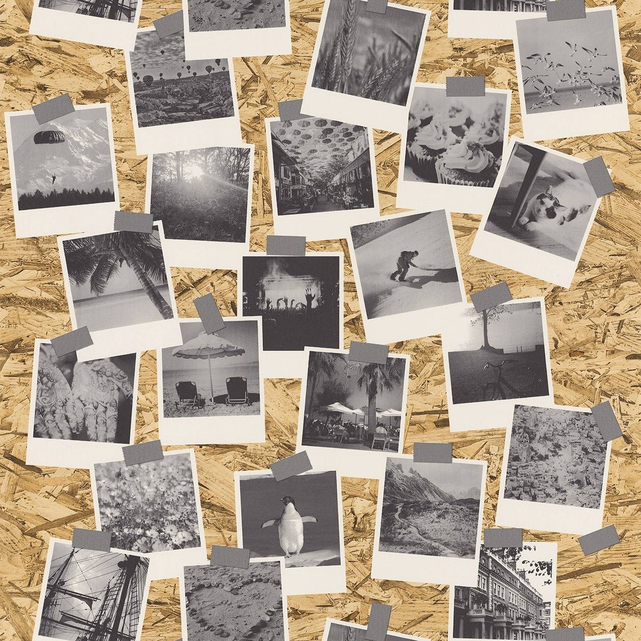 Polaroid Wallpapers - Top Free Polaroid Backgrounds - WallpaperAccess