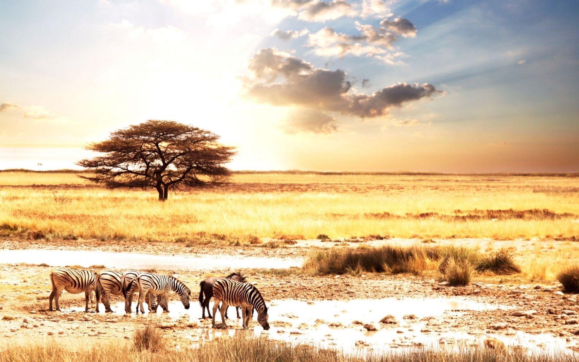 African Landscape Painting Wallpapers - Top Free African Landscape ...