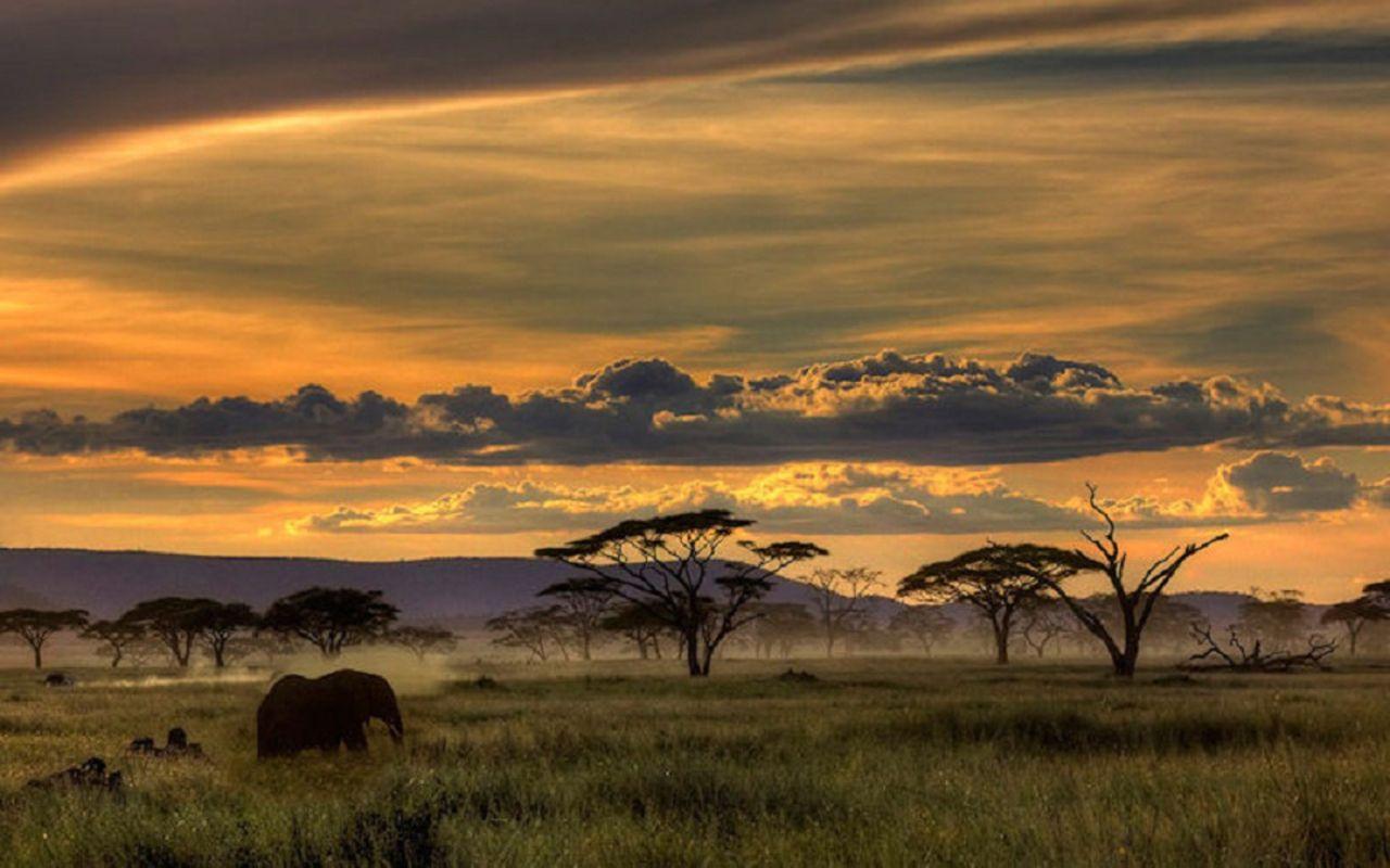African Landscape Painting Wallpapers - Top Free African Landscape ...