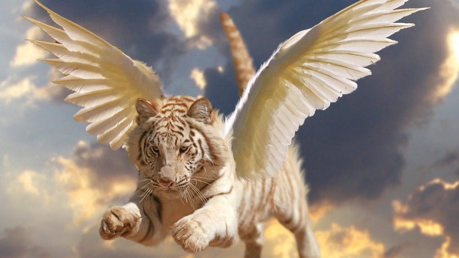 Fantasy Tiger Wallpapers - Top Free Fantasy Tiger Backgrounds ...