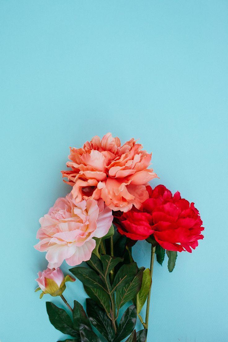 VSCO Bright Wallpapers - Top Free VSCO Bright Backgrounds - WallpaperAccess