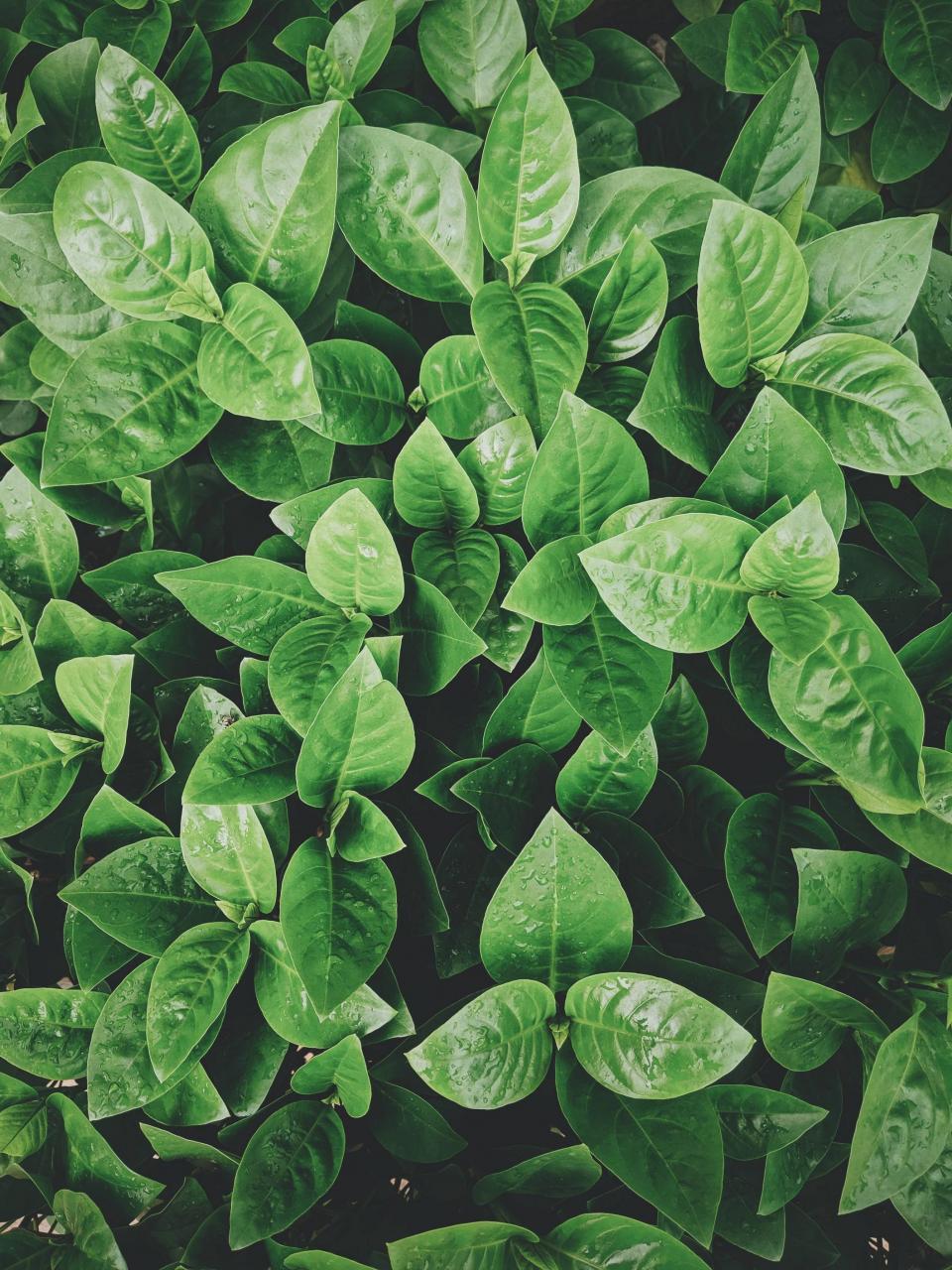 VSCO Bright Wallpapers - Top Free VSCO Bright Backgrounds - WallpaperAccess