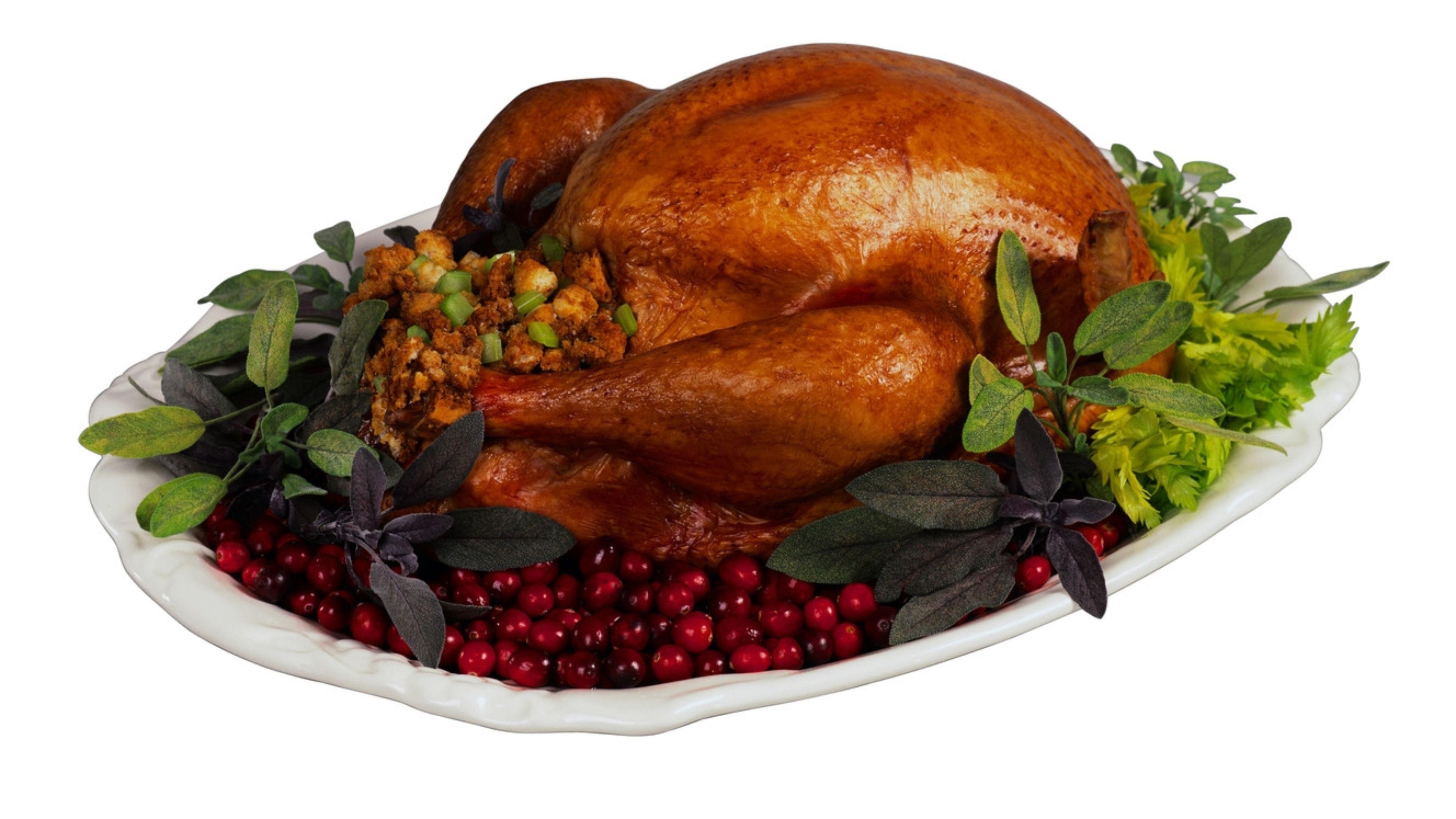 Drunk Turkey Wallpapers - Top Free Drunk Turkey Backgrounds ...