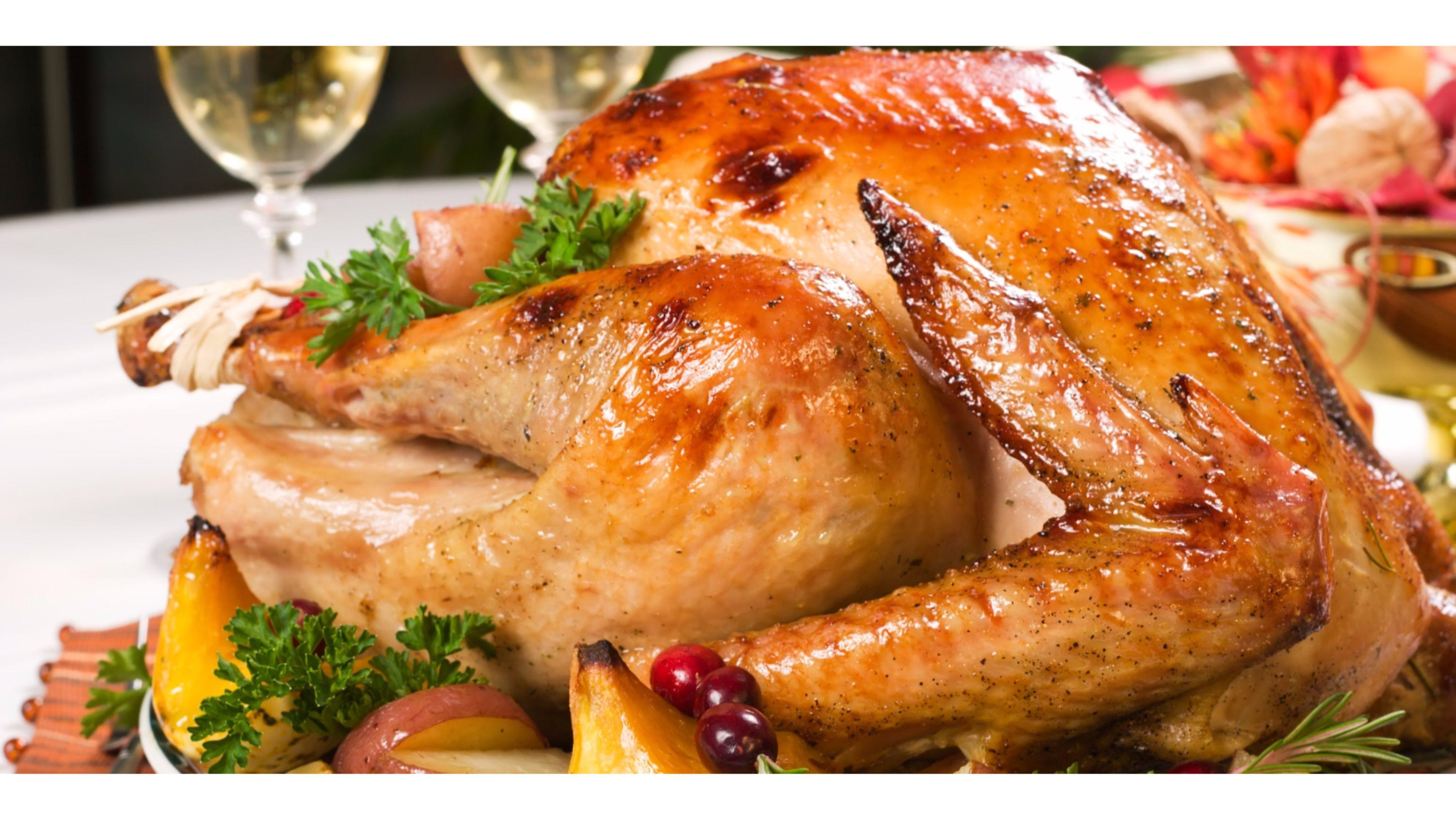 Drunk Turkey Wallpapers - Top Free Drunk Turkey Backgrounds ...