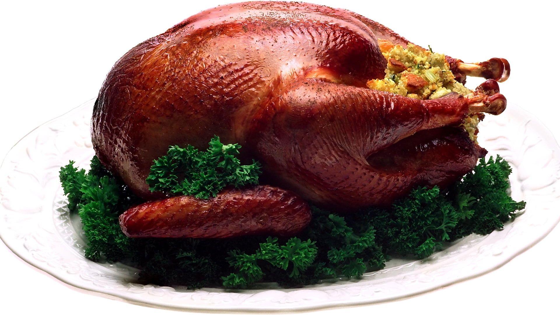 Drunk Turkey Wallpapers - Top Free Drunk Turkey Backgrounds ...