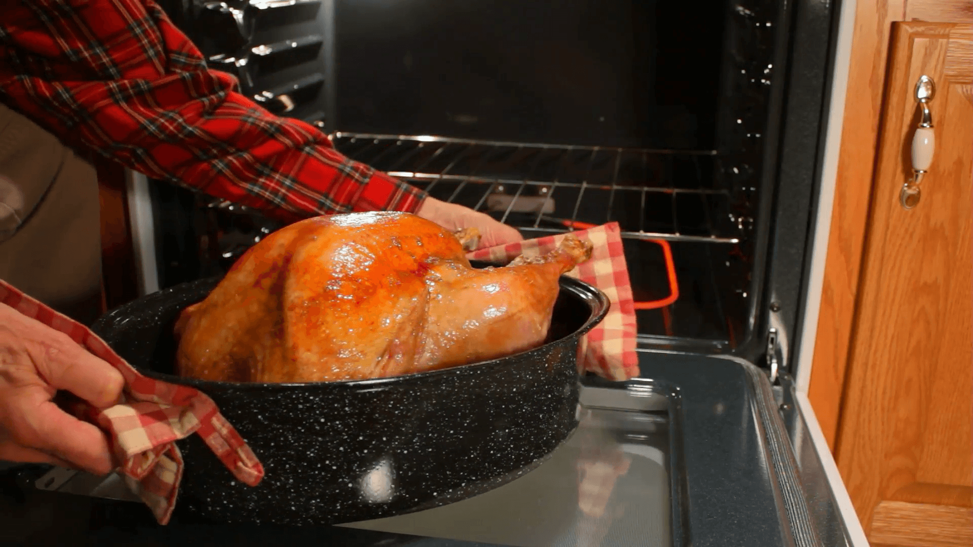 Drunk Turkey Wallpapers - Top Free Drunk Turkey Backgrounds ...