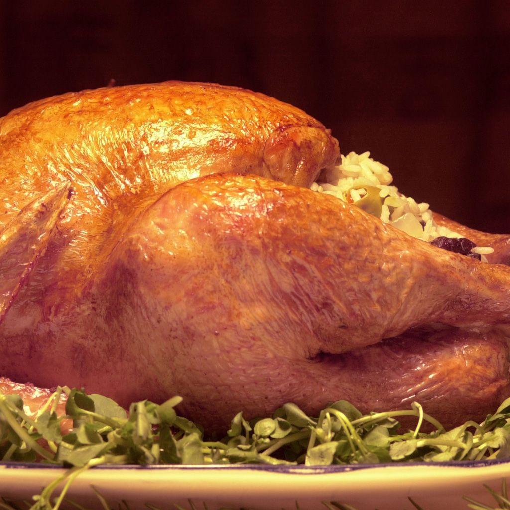 Drunk Turkey Wallpapers - Top Free Drunk Turkey Backgrounds ...