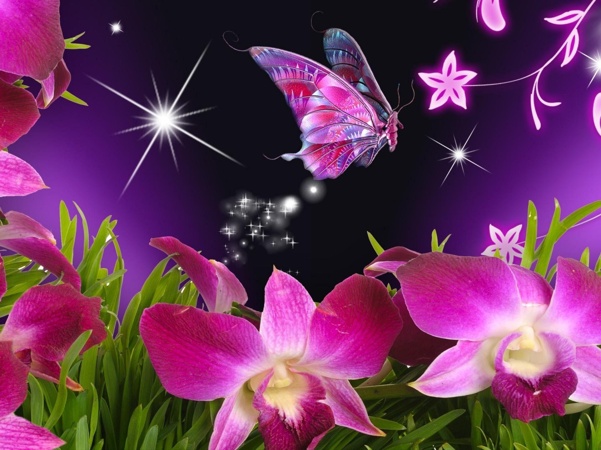 Cartoon Butterfly Wallpapers - Top Free Cartoon Butterfly Backgrounds ...