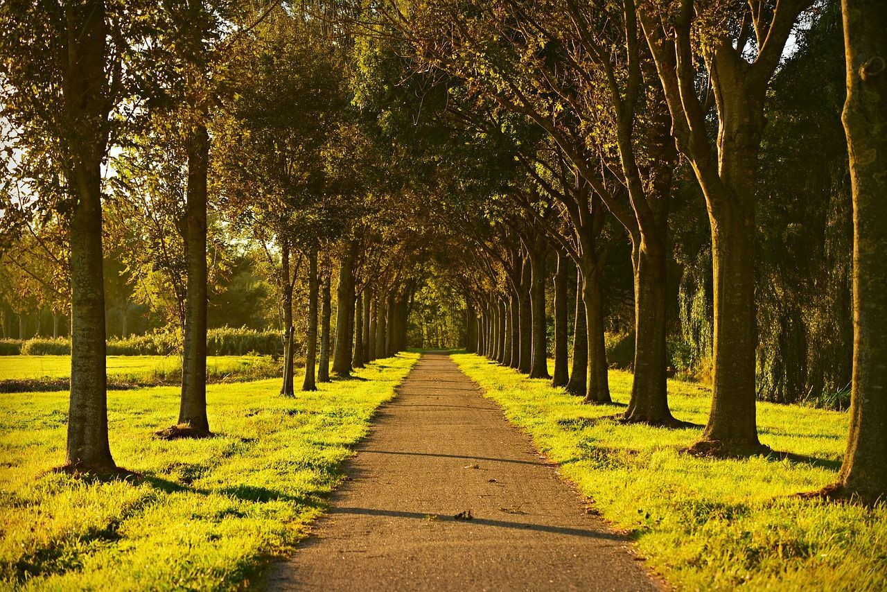 Late Afternoon Wallpapers - Top Free Late Afternoon Backgrounds ...