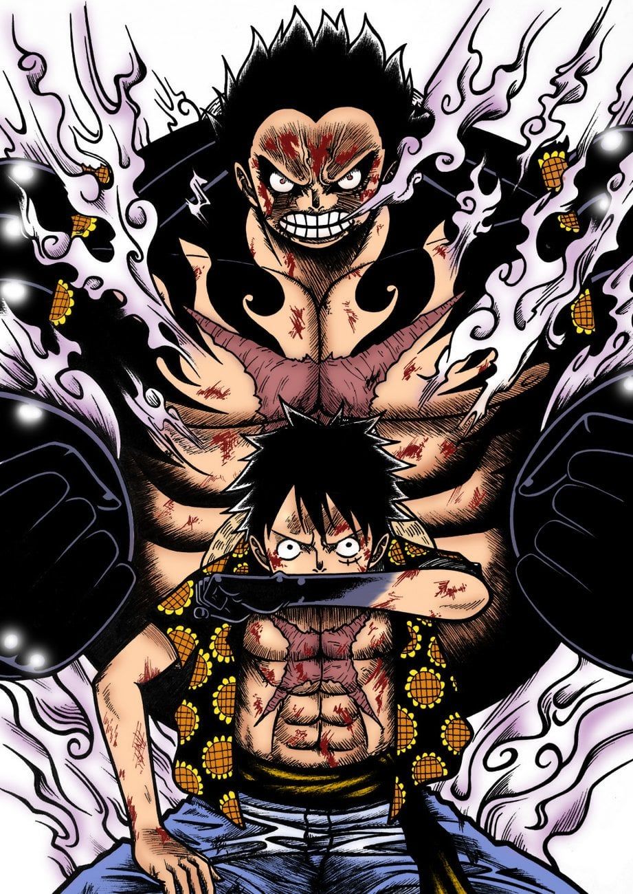One Piece Dressrosa Wallpapers - Top Free One Piece Dressrosa ...