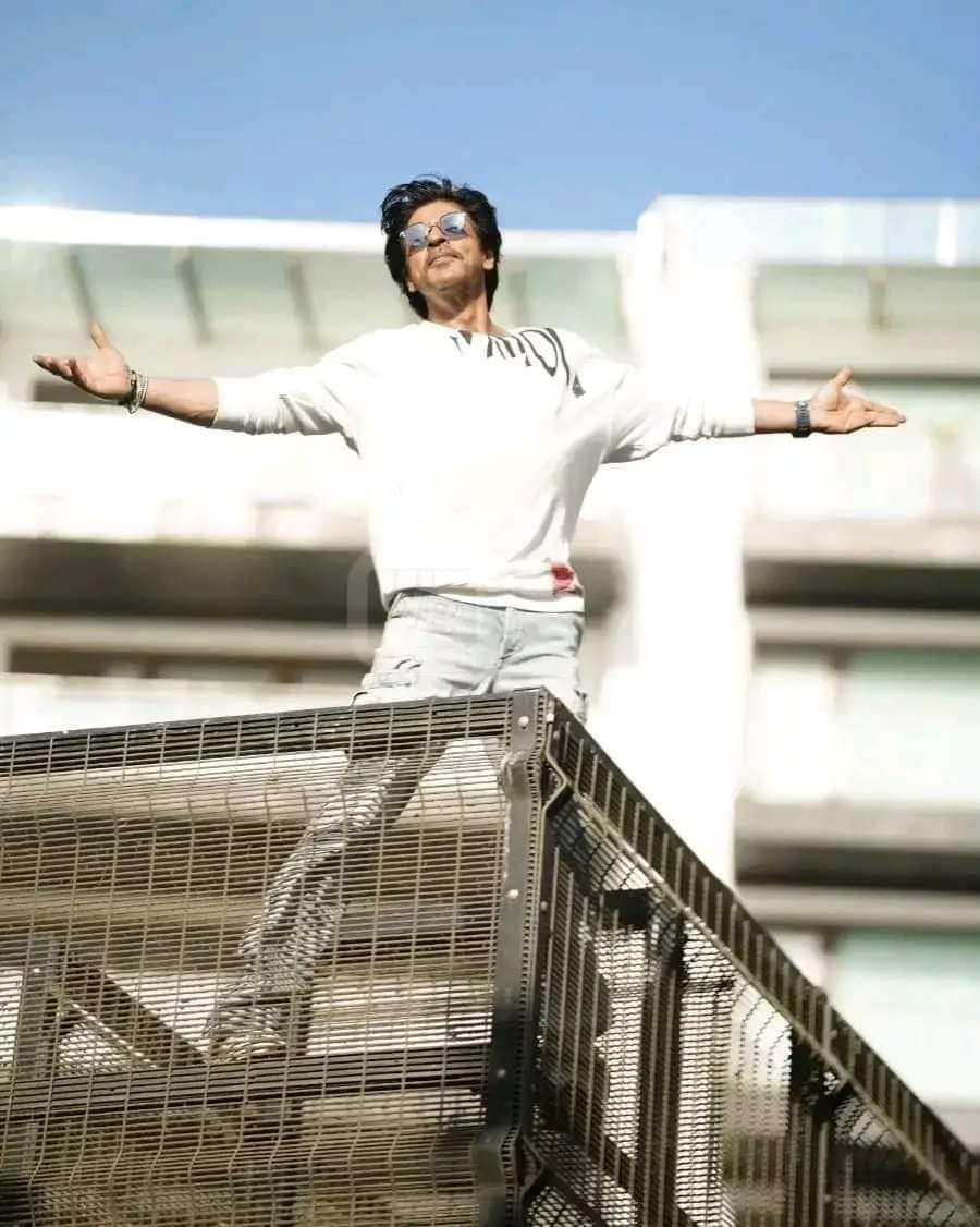 SRK Pose Wallpapers - Top Free SRK Pose Backgrounds - WallpaperAccess
