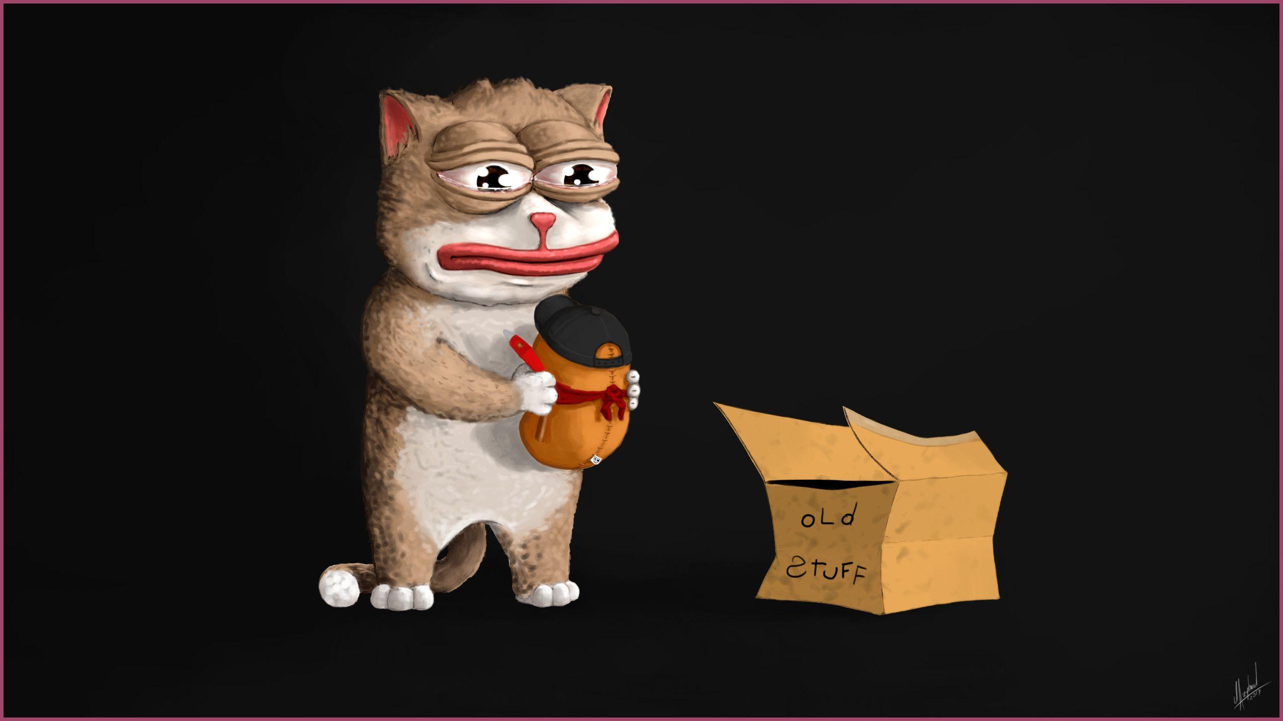 Animated Cat Wallpapers - Top Free Animated Cat Backgrounds ...