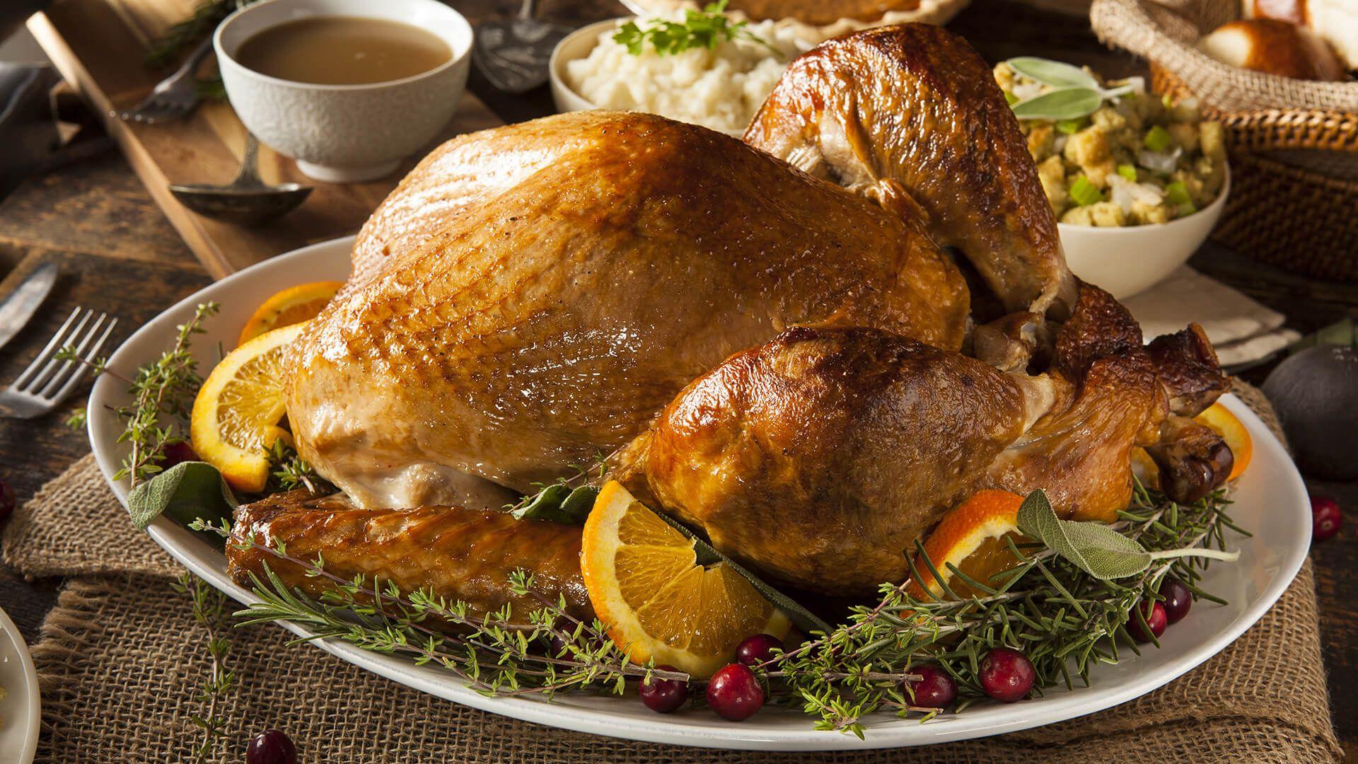 Drunk Turkey Wallpapers - Top Free Drunk Turkey Backgrounds ...