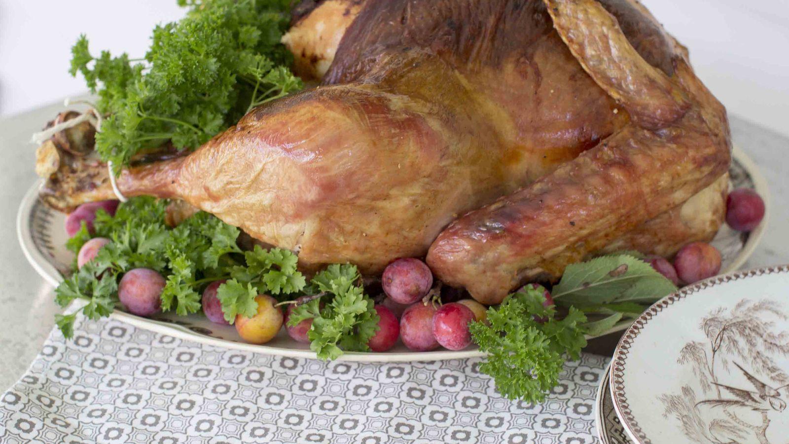 Drunk Turkey Wallpapers - Top Free Drunk Turkey Backgrounds ...