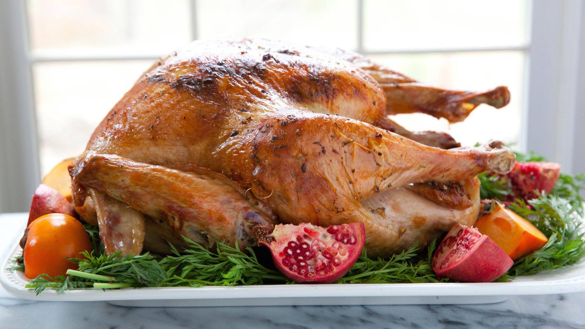 Drunk Turkey Wallpapers - Top Free Drunk Turkey Backgrounds ...