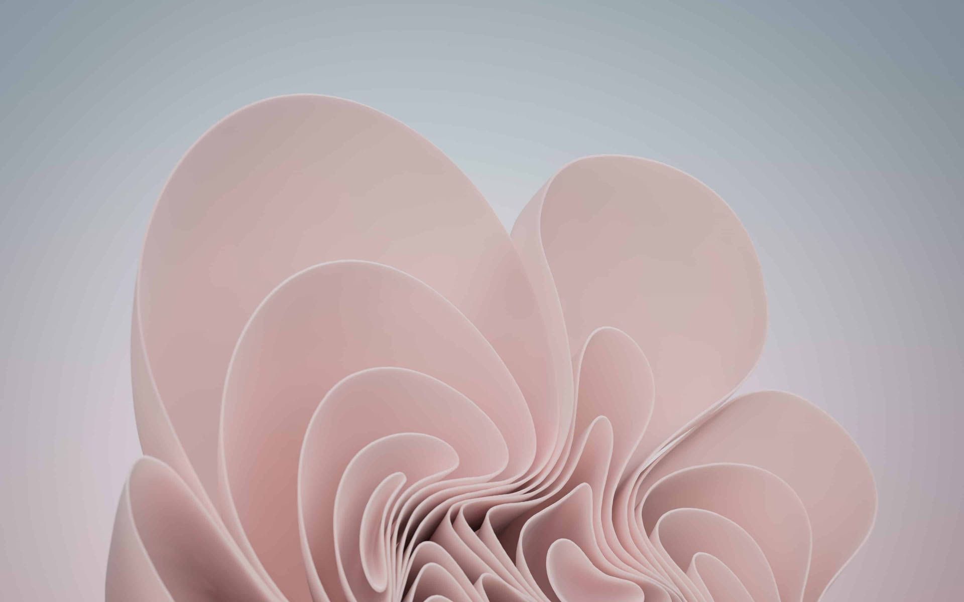 Windows 11 Pink Wallpapers - Top Free Windows 11 Pink Backgrounds ...