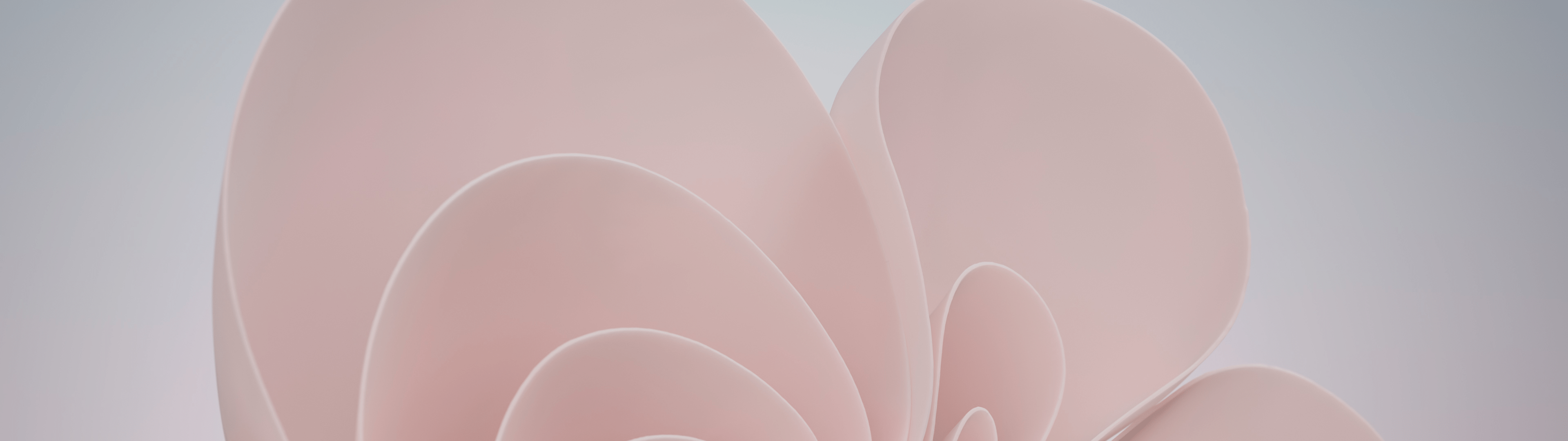 Windows 11 Pink Wallpapers - Top Free Windows 11 Pink Backgrounds ...