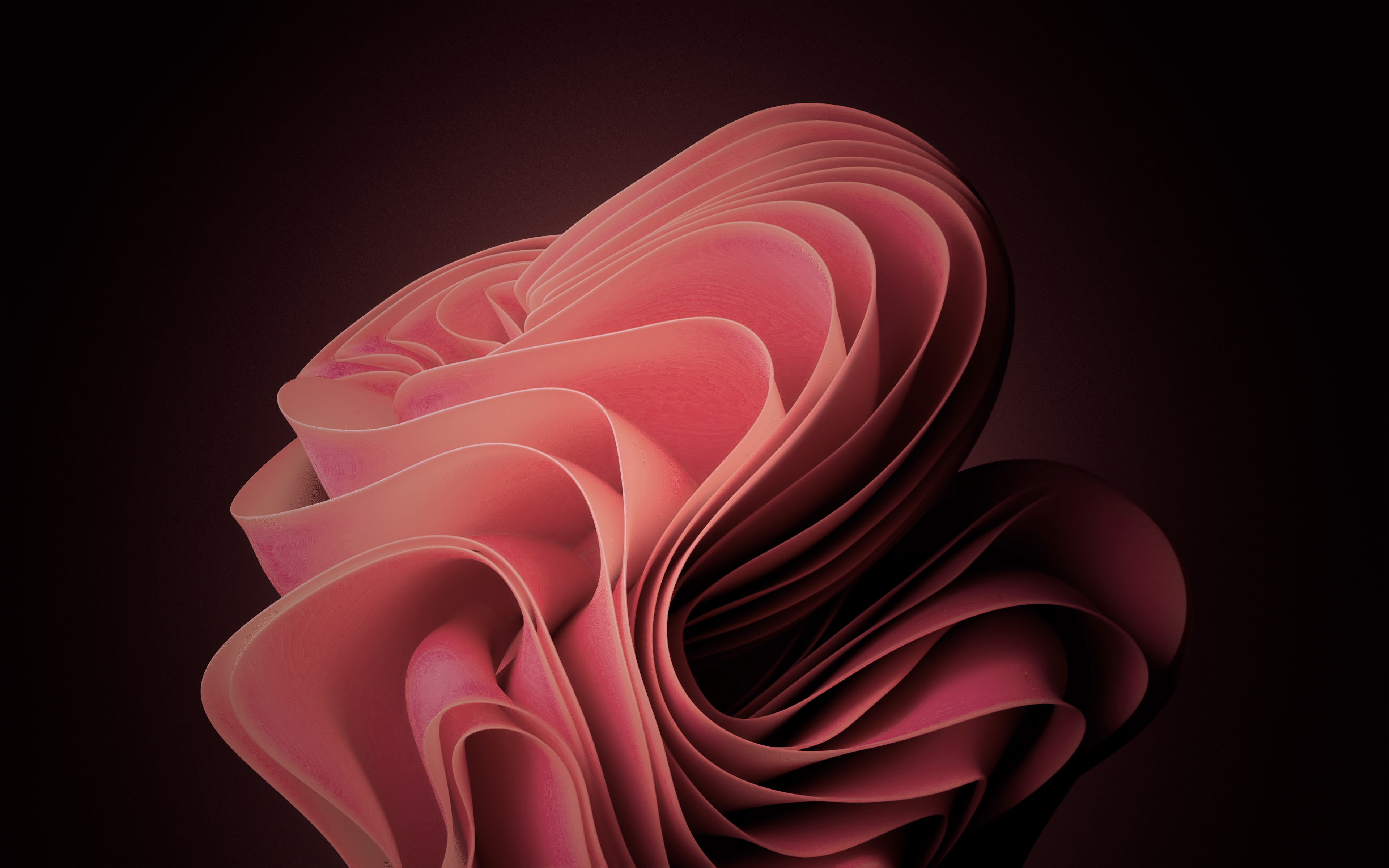 Windows 11 Pink Wallpapers - Top Free Windows 11 Pink Backgrounds ...