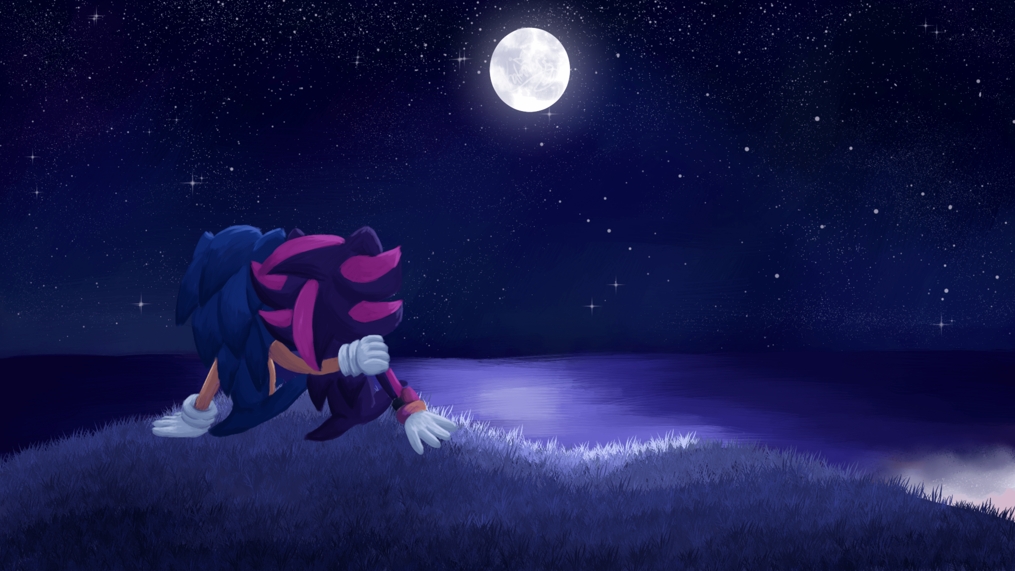 Sonadow Wallpapers - Top Free Sonadow Backgrounds - WallpaperAccess