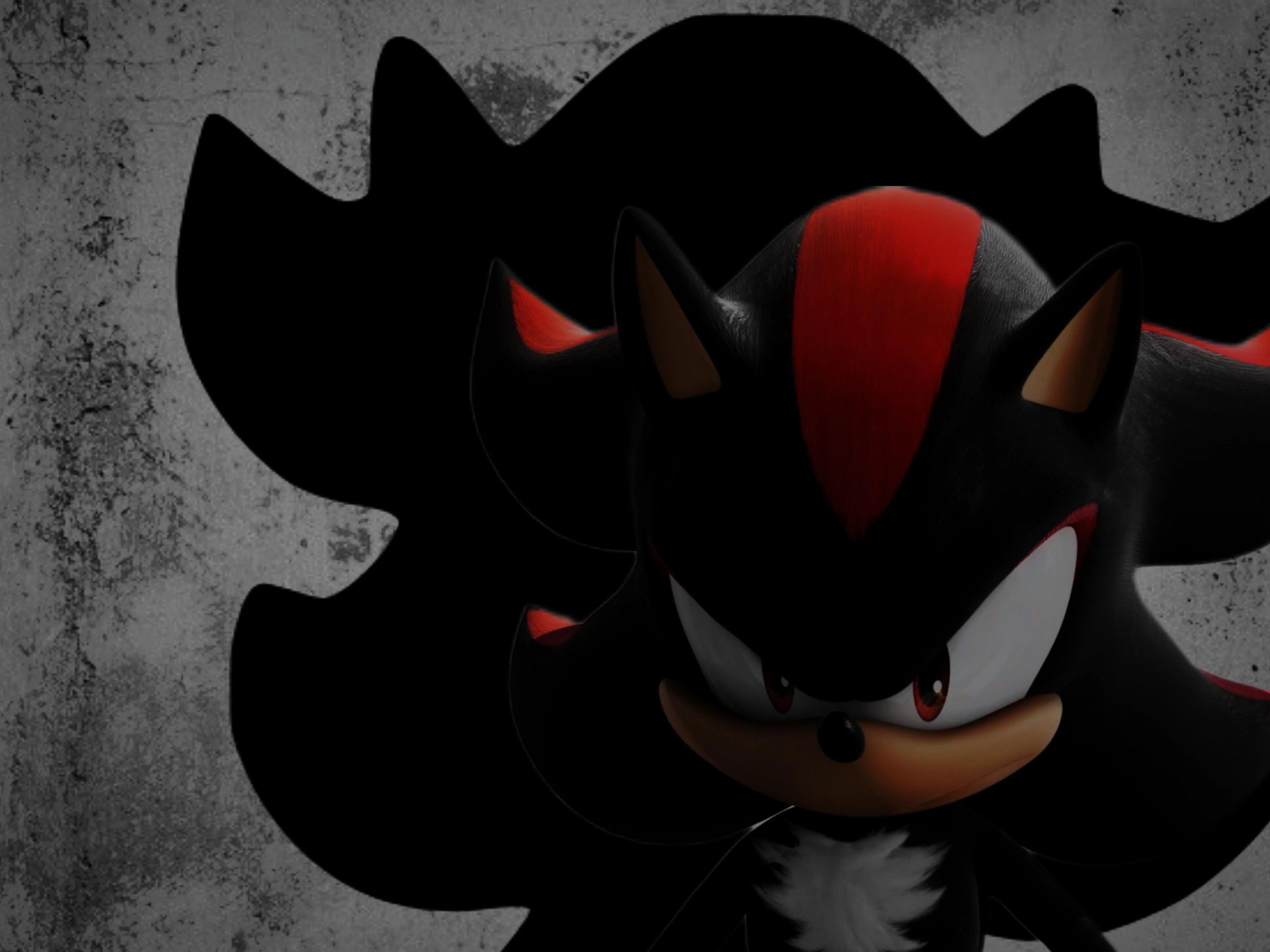 Sonadow Wallpapers - Top Free Sonadow Backgrounds - WallpaperAccess