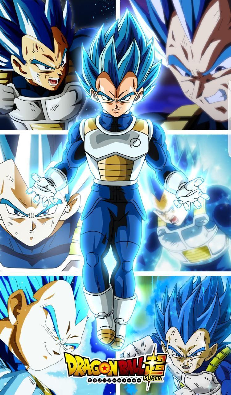 Royal Blue Vegeta Wallpapers - Top Free Royal Blue Vegeta Backgrounds ...