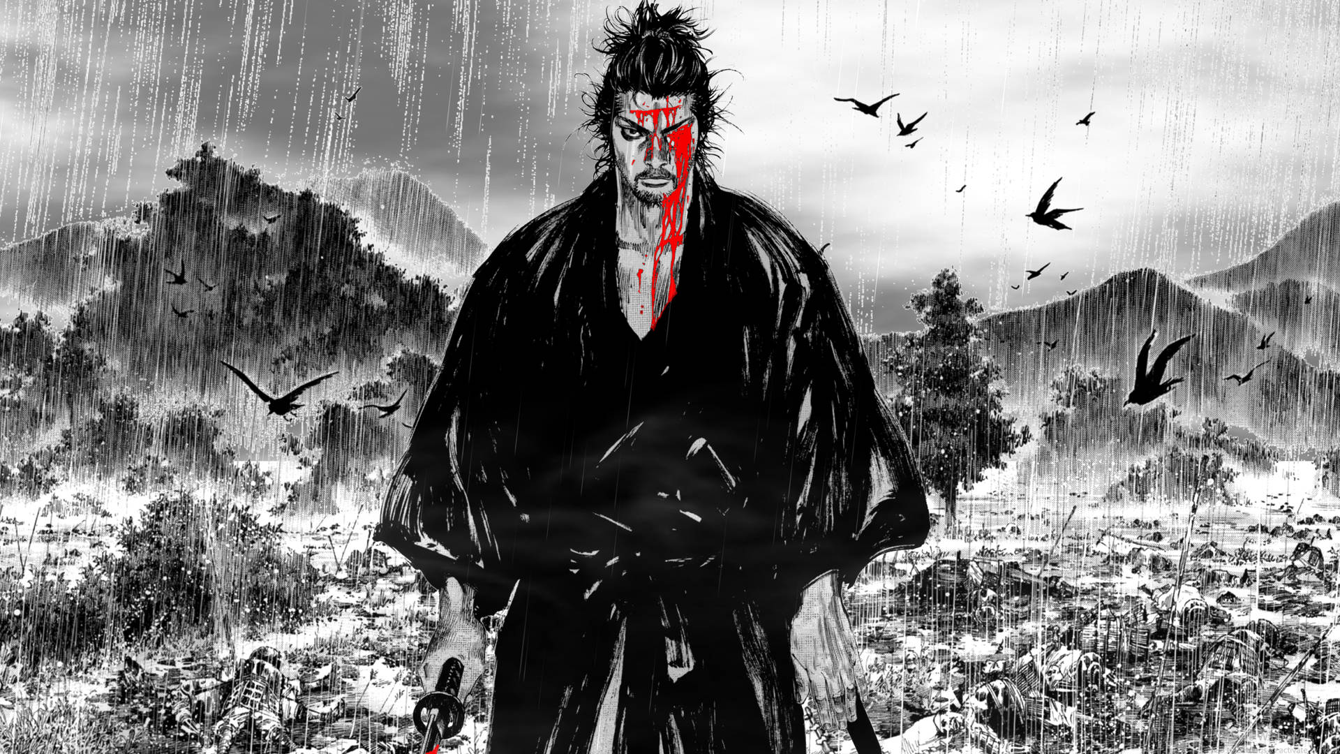 Vagabond PC Wallpapers - Top Free Vagabond PC Backgrounds - WallpaperAccess