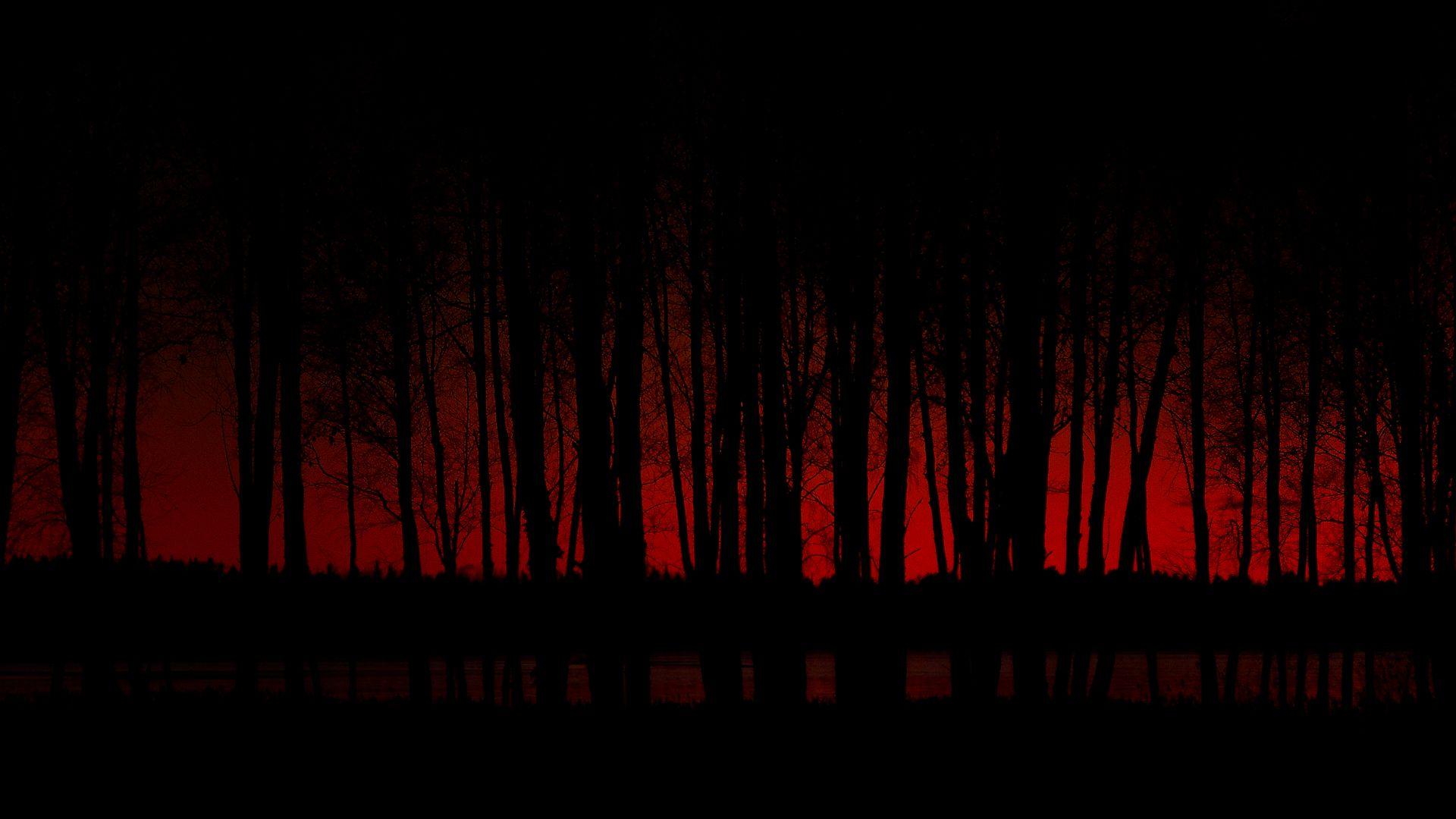 Dark Tree Wallpapers - Top Free Dark Tree Backgrounds - WallpaperAccess