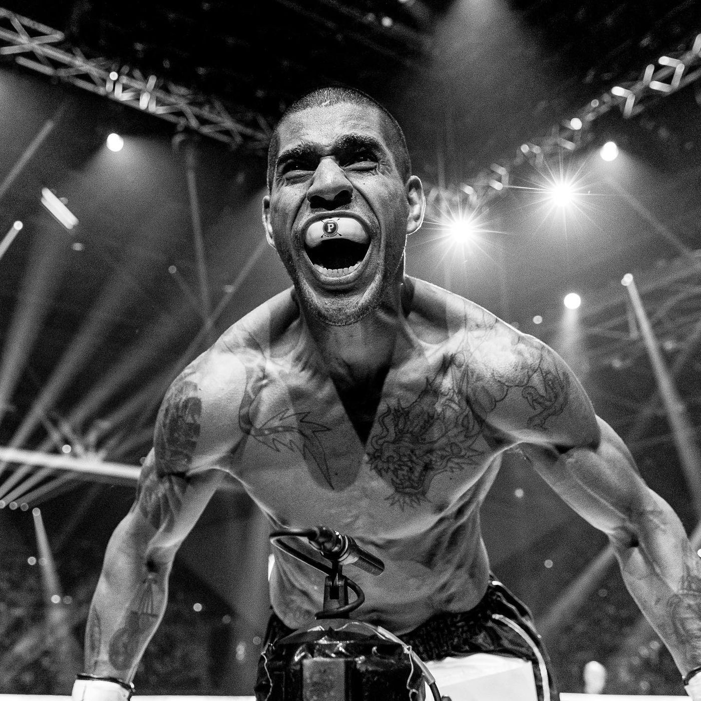 Alex Periera Wallpapers - Top Free Alex Periera Backgrounds ...