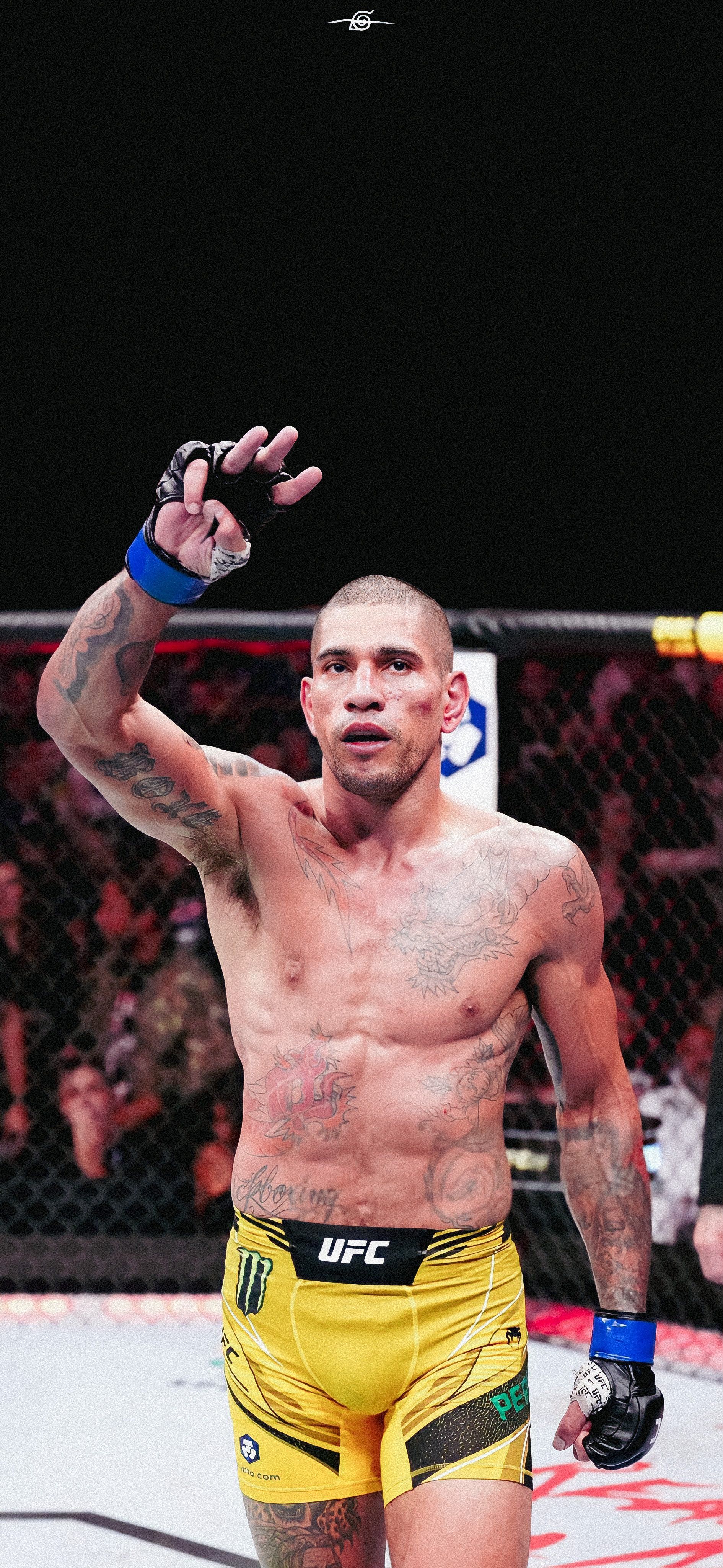 Alex Periera Wallpapers - Top Free Alex Periera Backgrounds ...