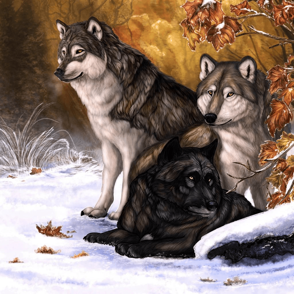 Wolf Family Wallpapers - Top Free Wolf Family Backgrounds - WallpaperAccess