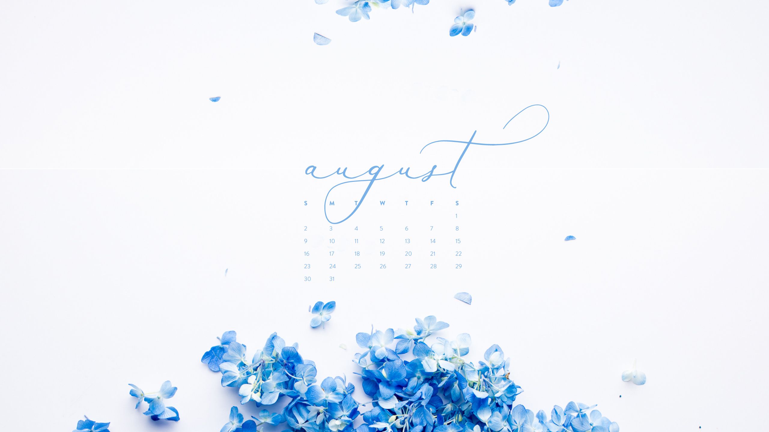 August 2024 Calendar Wallpapers - Top Free August 2024 Calendar ...