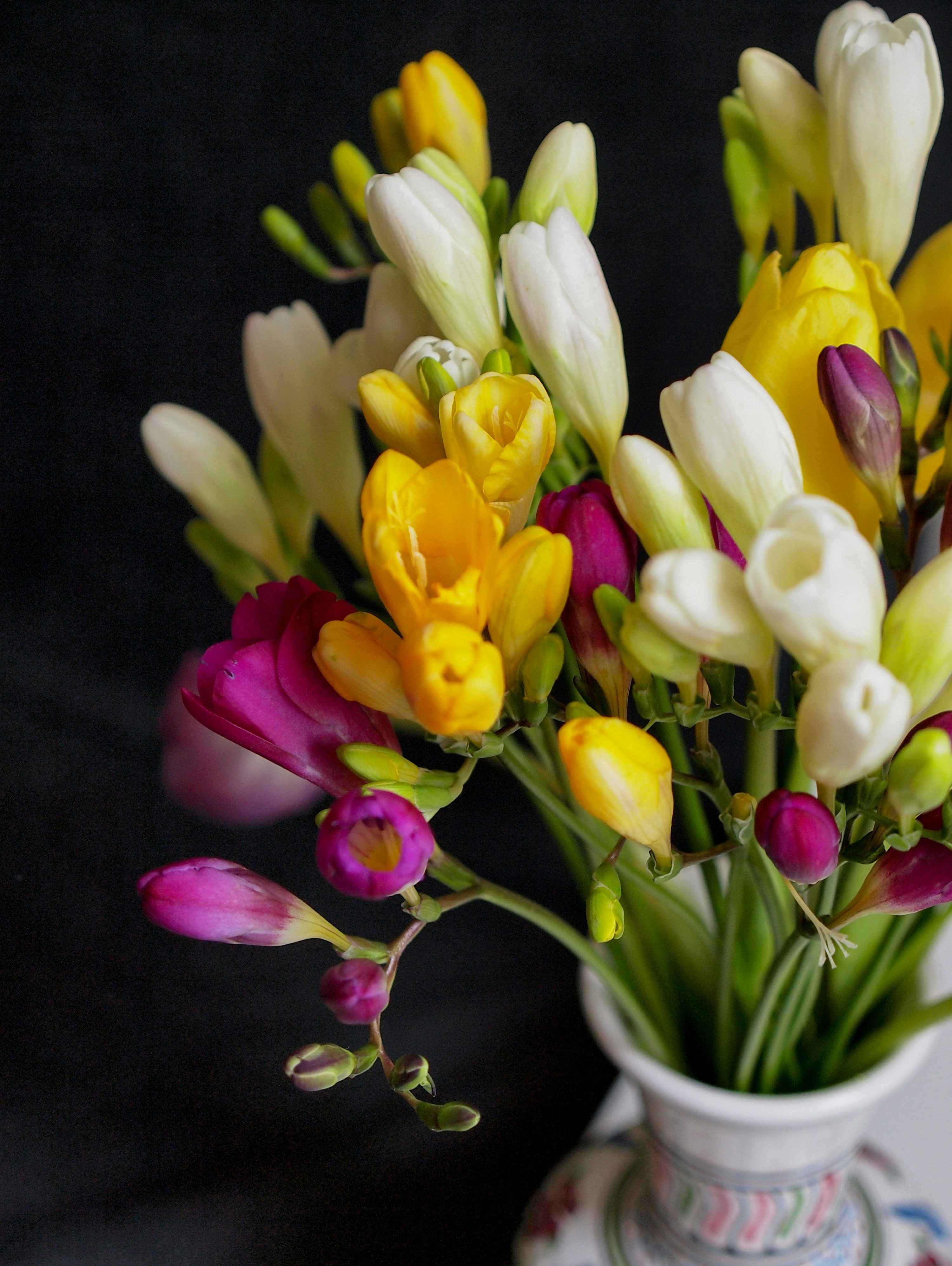 Freesia Wallpapers - Top Free Freesia Backgrounds - WallpaperAccess