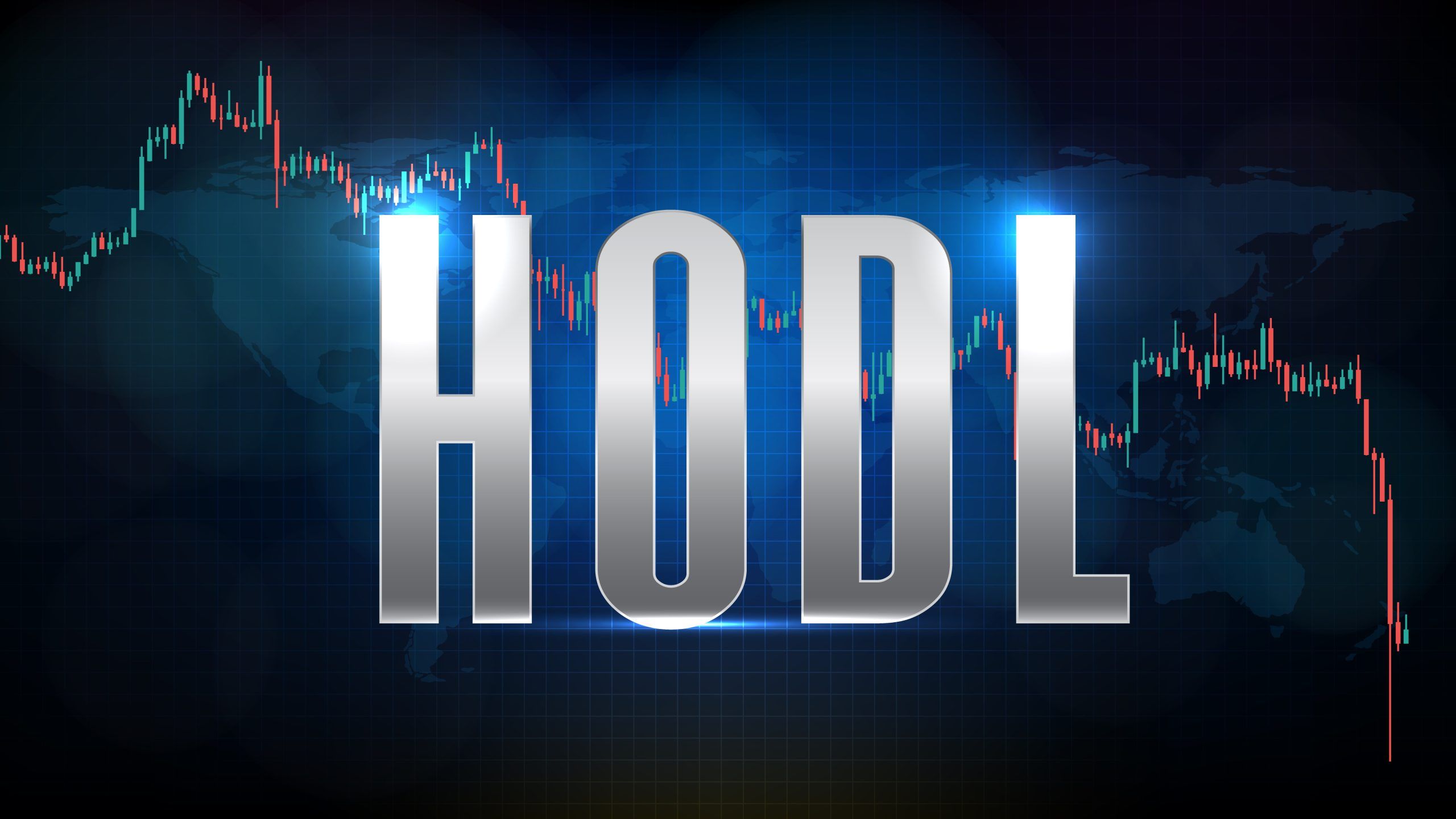 HODL Wallpapers - Top Free HODL Backgrounds - WallpaperAccess