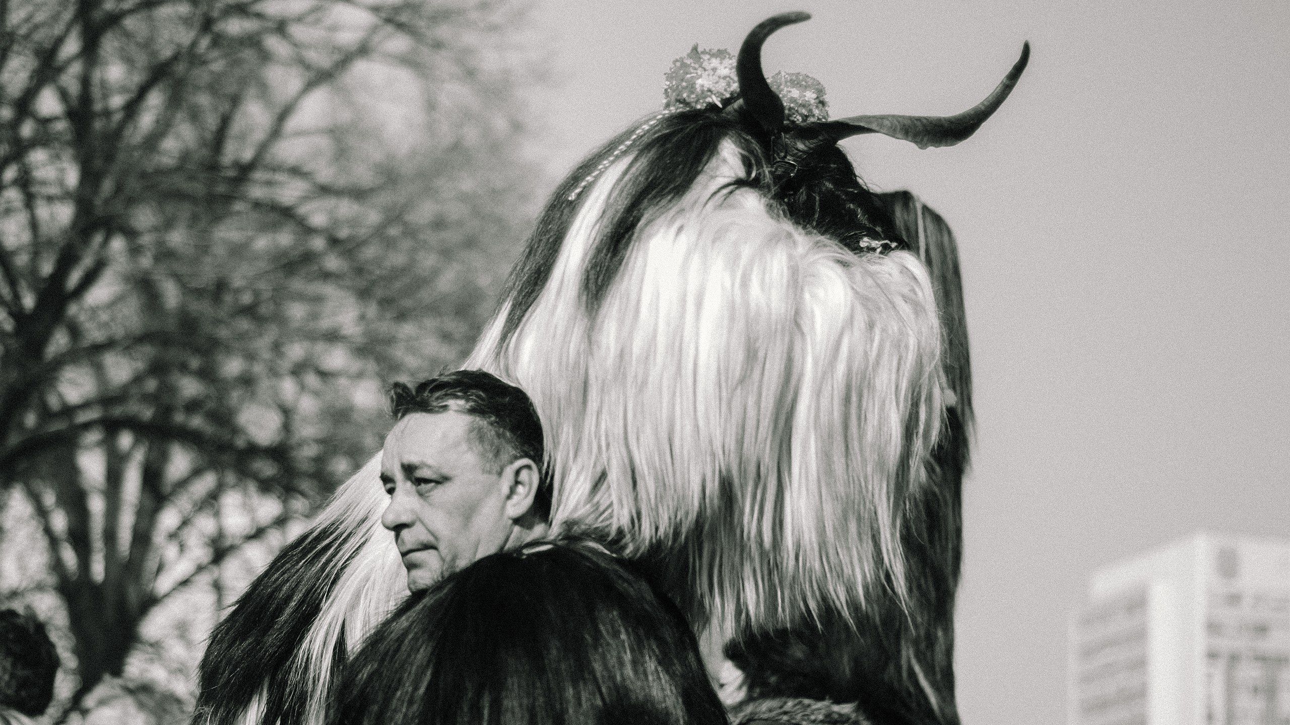 Kuker Wallpapers - Top Free Kuker Backgrounds - WallpaperAccess