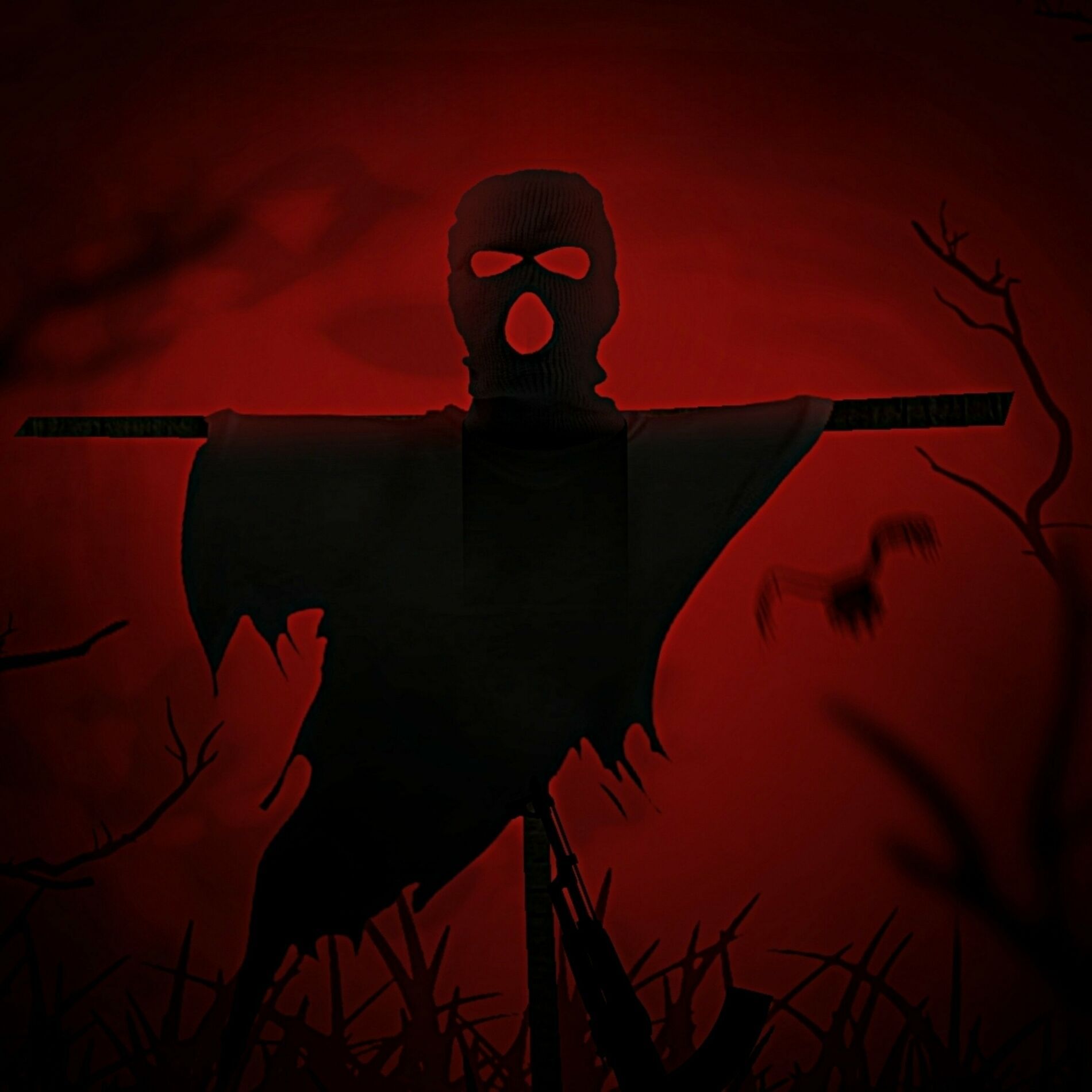 Vitinho Wallpapers - Top Free Vitinho Backgrounds - WallpaperAccess