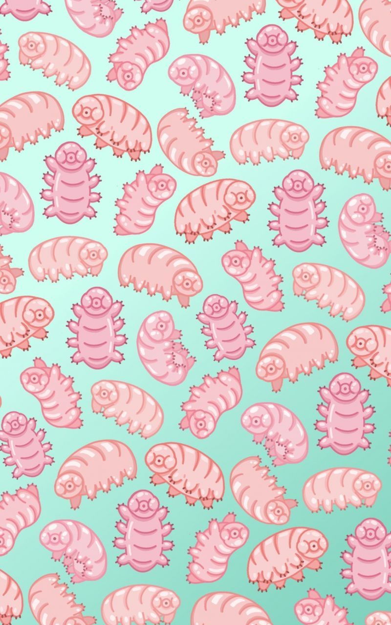 Tardigrade Wallpapers - Top Free Tardigrade Backgrounds - WallpaperAccess