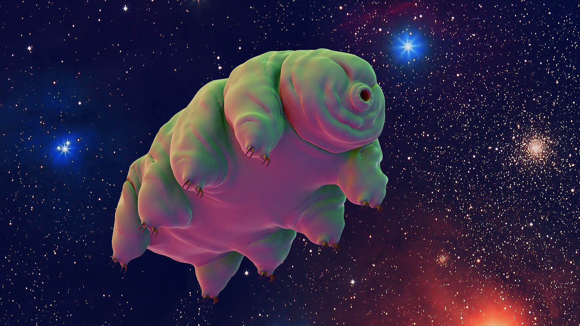 Tardigrade Wallpapers - Top Free Tardigrade Backgrounds - WallpaperAccess