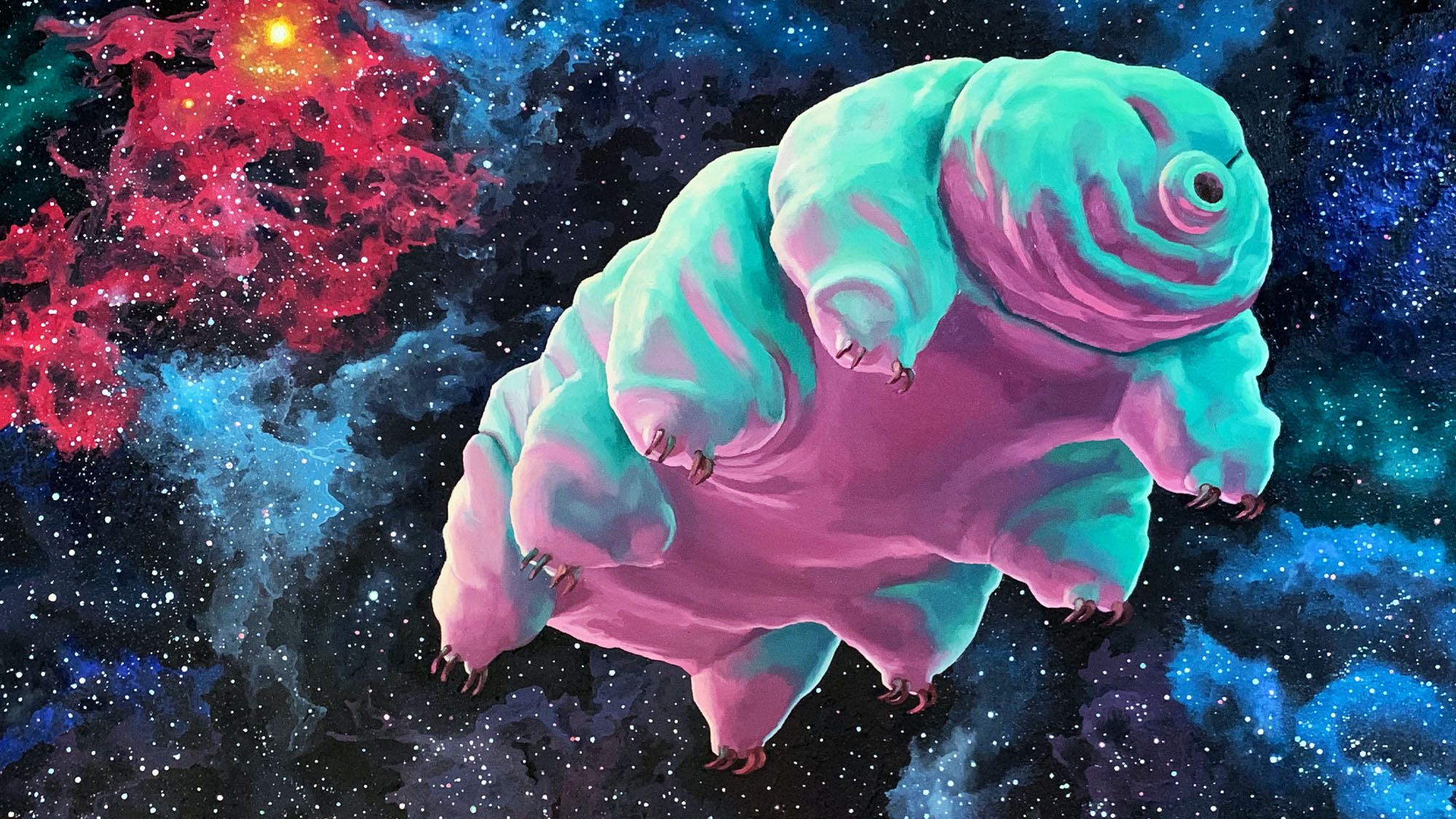 Tardigrade Wallpapers - Top Free Tardigrade Backgrounds - WallpaperAccess