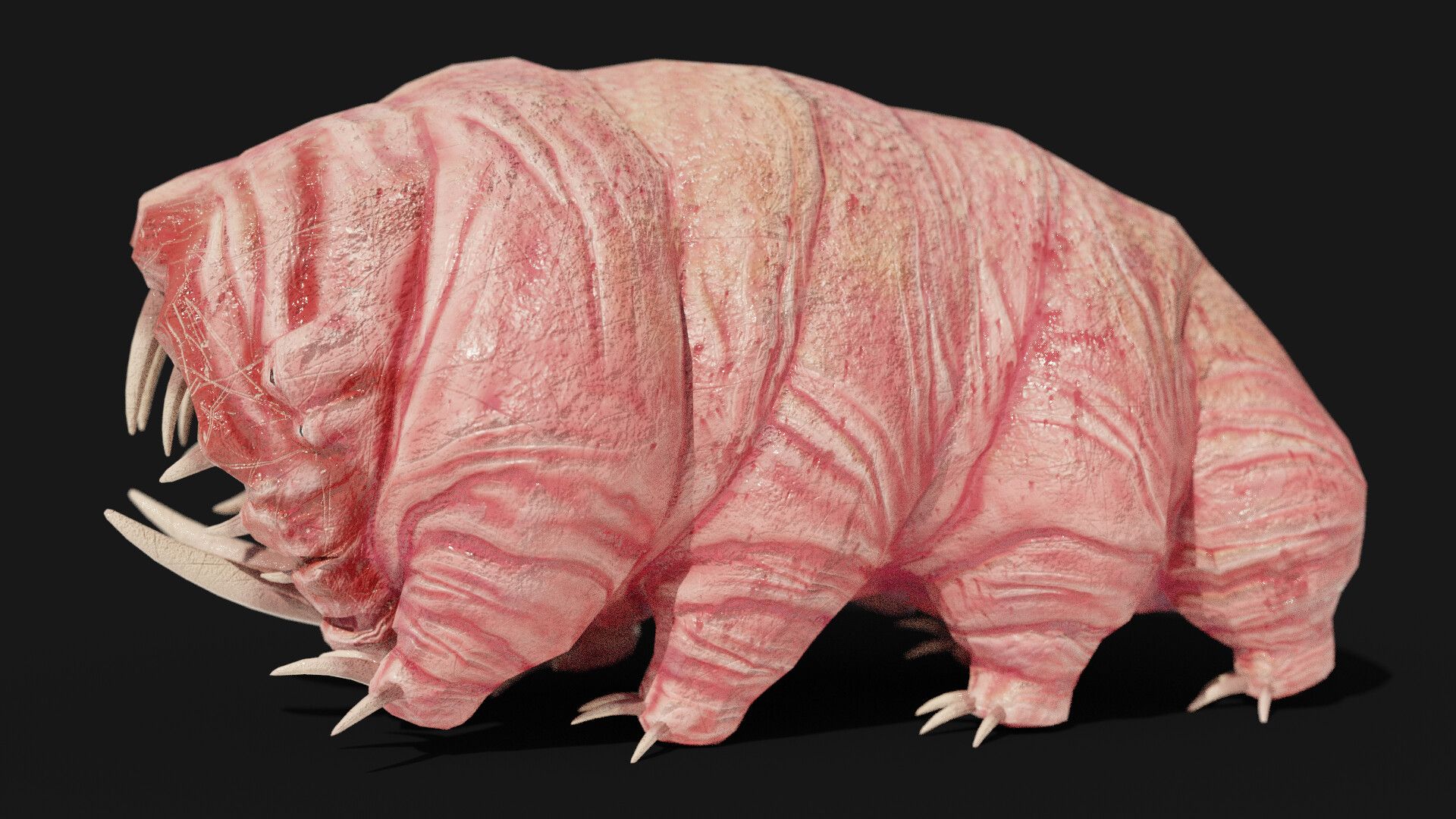 Tardigrade Wallpapers - Top Free Tardigrade Backgrounds - WallpaperAccess