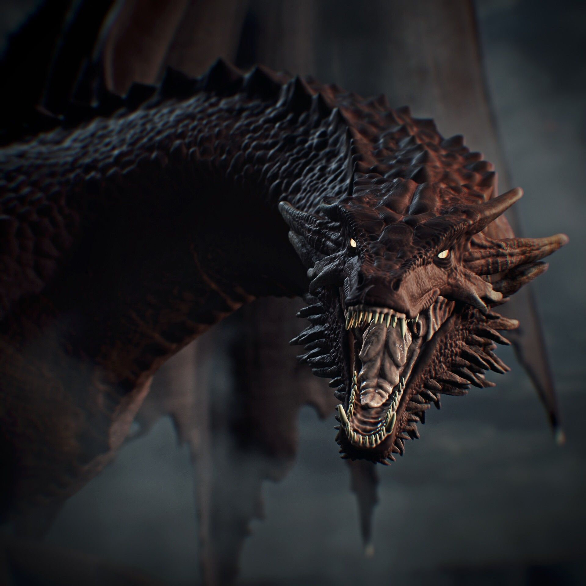 Vermithor Wallpapers - Top Free Vermithor Backgrounds - WallpaperAccess