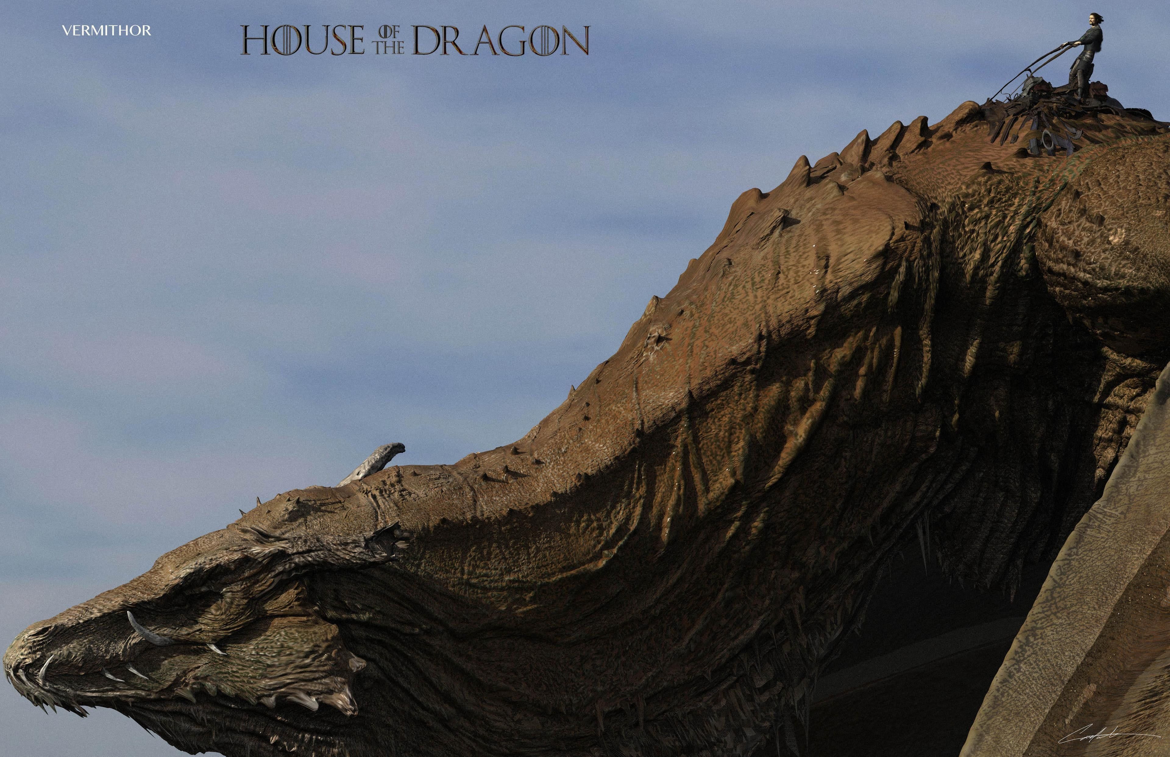 Vermithor Wallpapers - Top Free Vermithor Backgrounds - WallpaperAccess