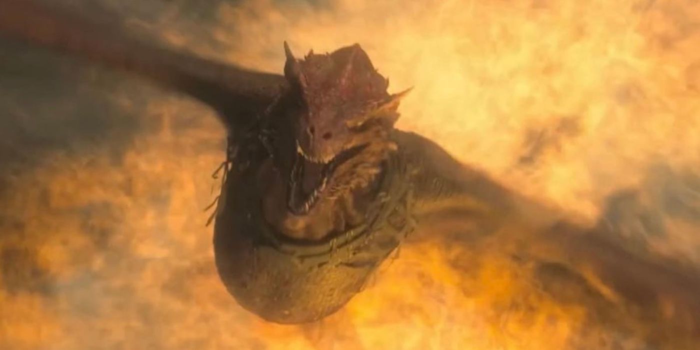 Vermithor Wallpapers - Top Free Vermithor Backgrounds - WallpaperAccess