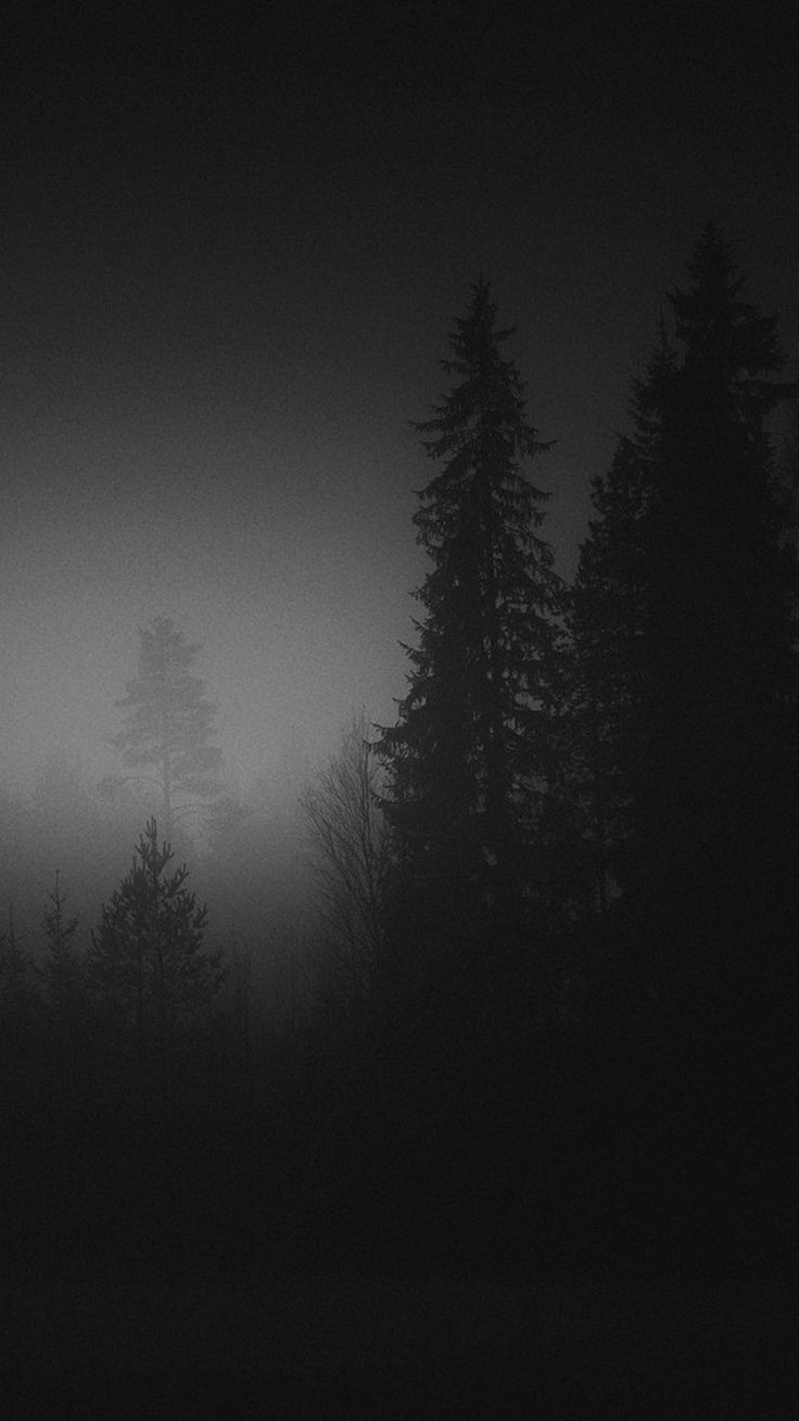 DSBM Wallpapers - Top Free DSBM Backgrounds - WallpaperAccess