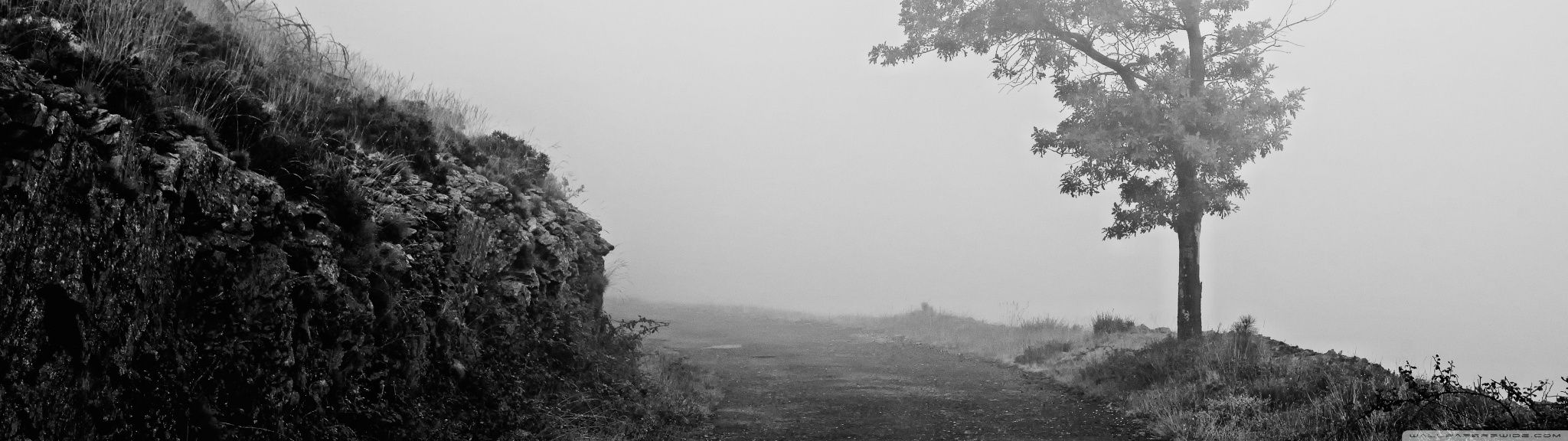 DSBM Wallpapers - Top Free DSBM Backgrounds - WallpaperAccess