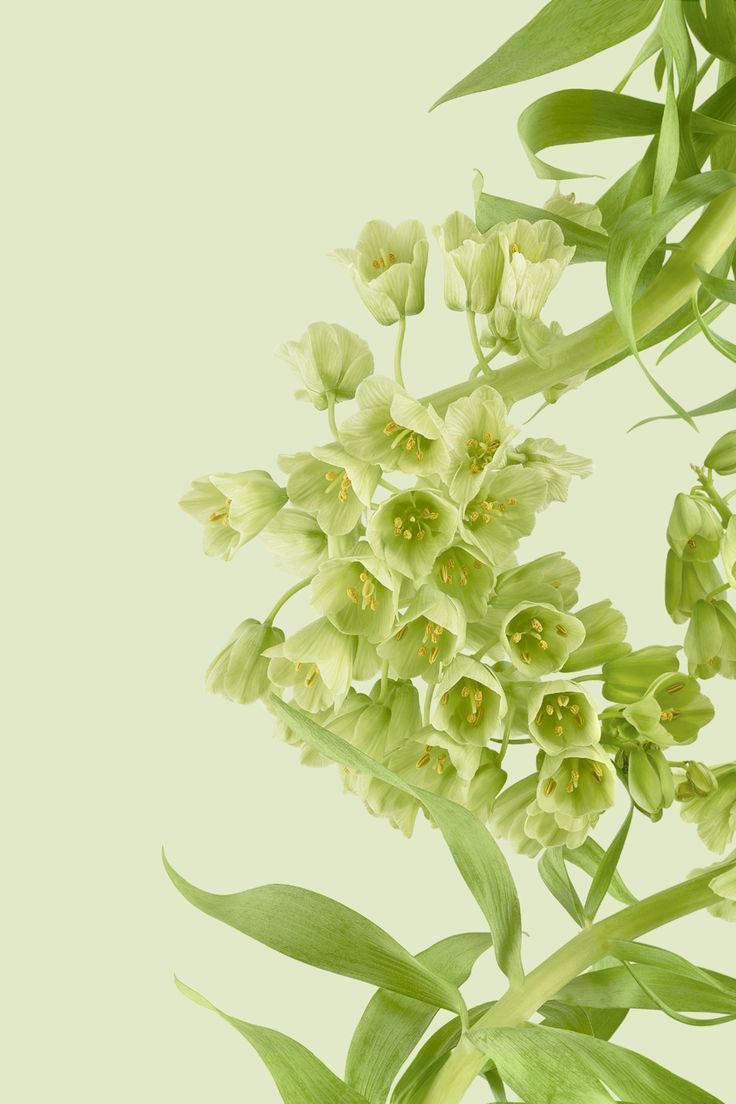 Pixel 6pro Wallpapers - Top Free Pixel 6pro Backgrounds - WallpaperAccess