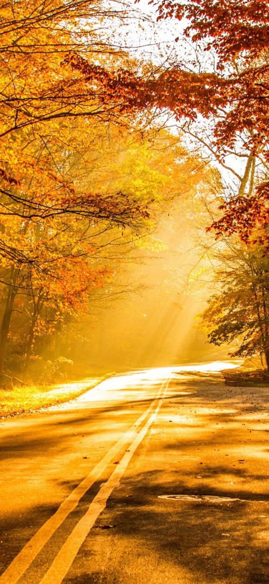 Pixel 6pro Wallpapers - Top Free Pixel 6pro Backgrounds - WallpaperAccess